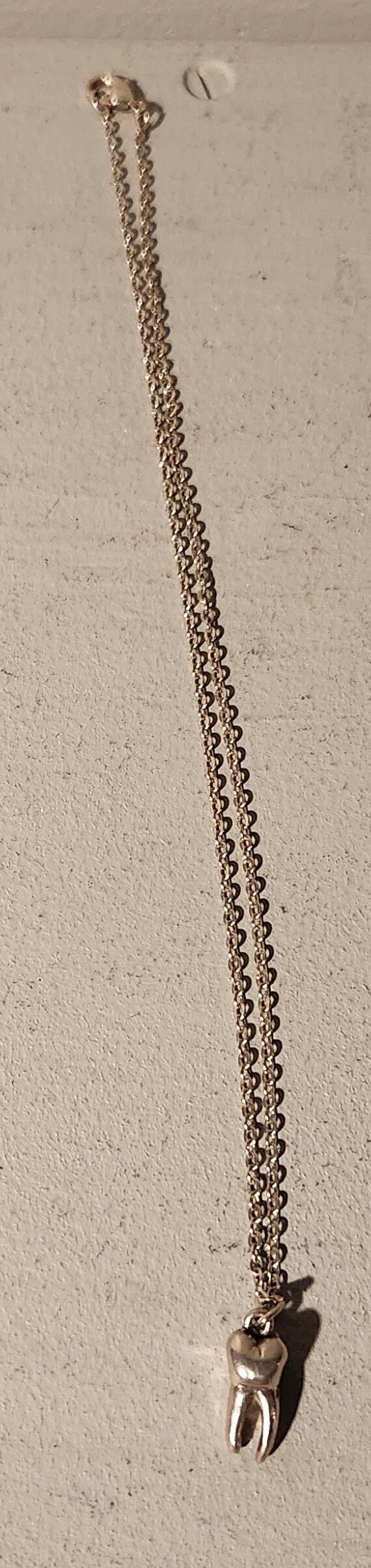 magalodon tooth with silver - Gem