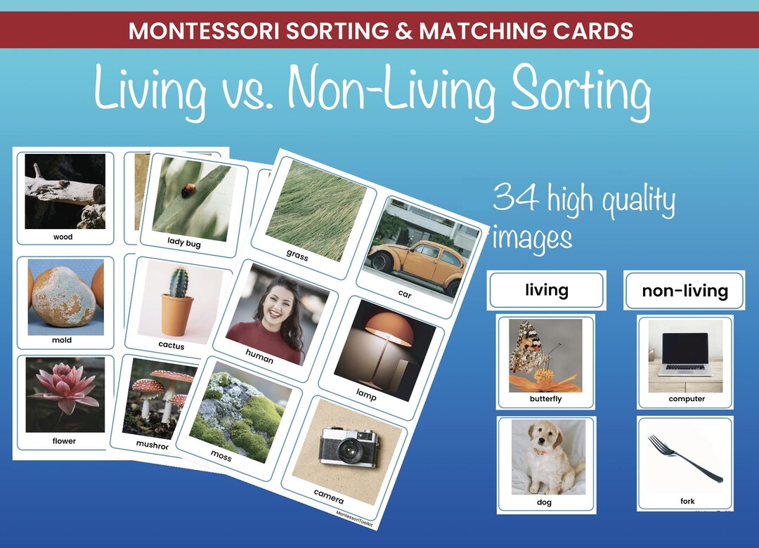 Living Vs Non-living Sorting Activity, Montessori, Preschool, Toddler ...