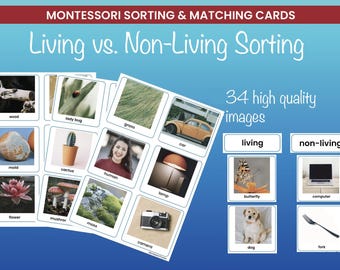 Living and Non-living Sorting Cards & Control Chart - Montessori ...