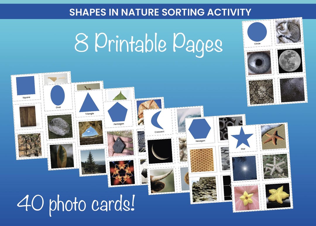 Montessori Shape Sorting Cards, Digital Download. Printable Geometric ...