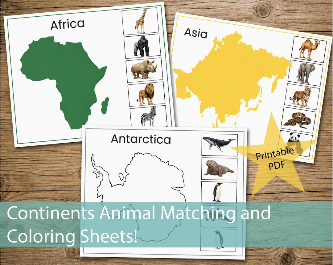 Montessori Animal Continents Matching and Coloring Sheets - Etsy