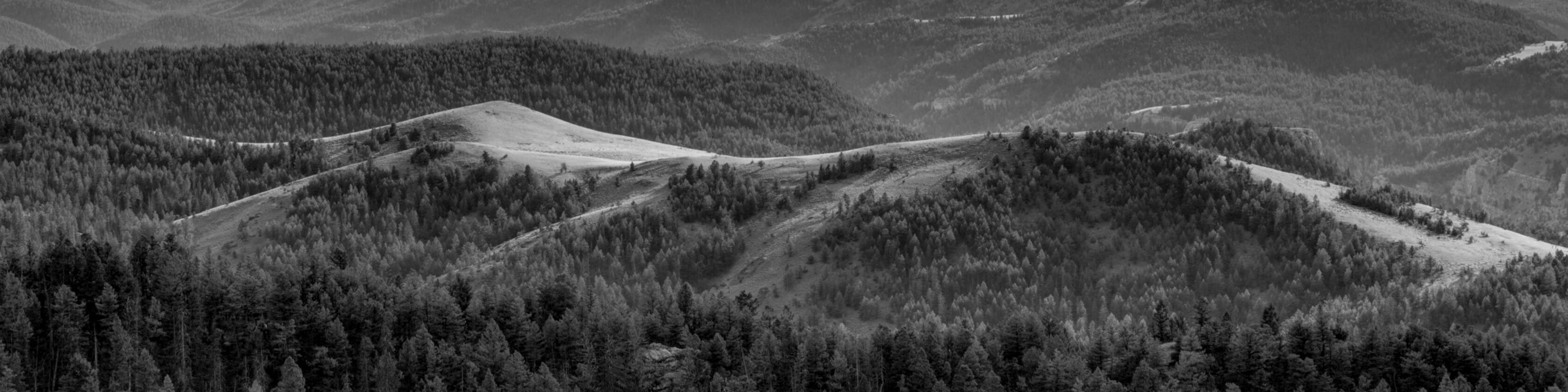 JDavisPhotoPrints - Etsy