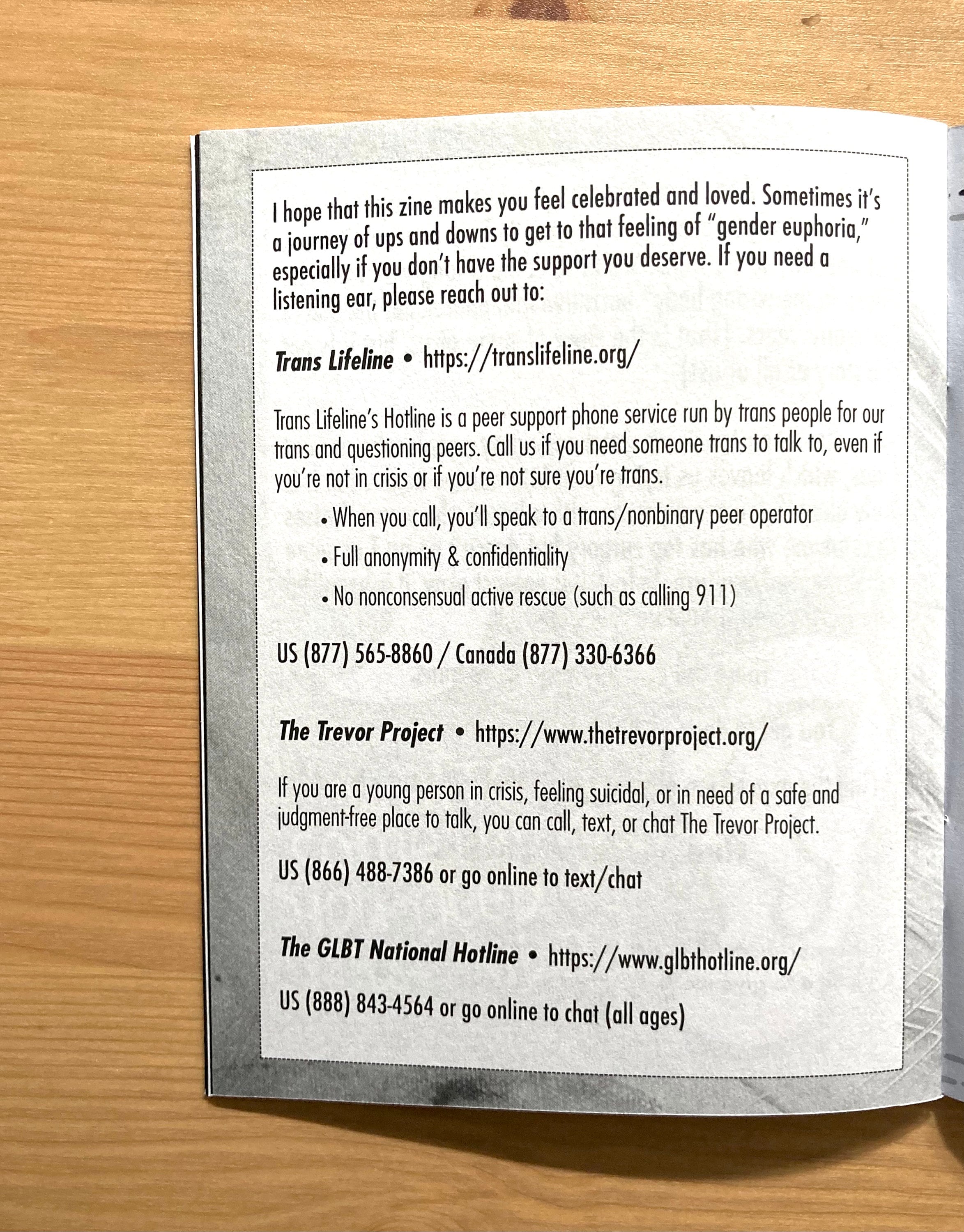 Little Book of Trans Affirmations Zine Print Pre-Order | Etsy