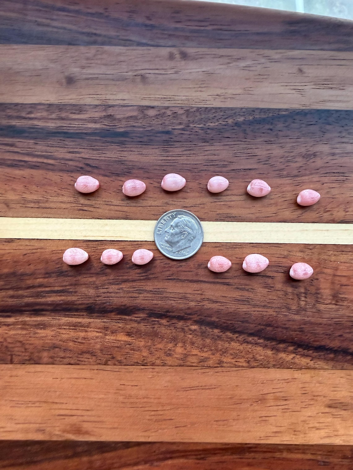 Rare Natural Pink Cowries, Real Shells - Etsy