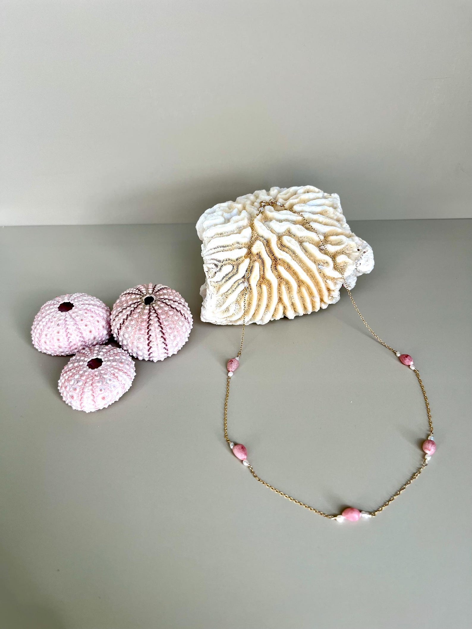 Cowrie Shells by the Yard, Cowrie Shell Necklace – Ocean Inspired ...