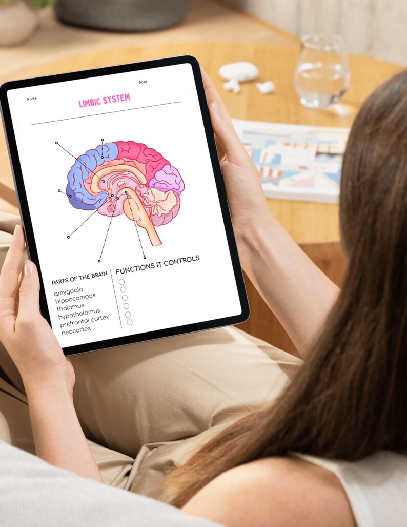 Neuroscience Anatomy Worksheets | Active Recall Study Guide (PDF ...