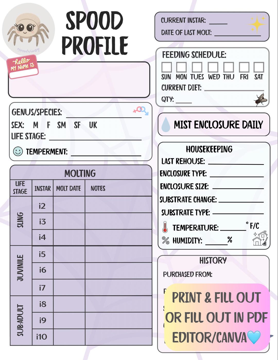 Jumping Spider Profile & Care Tracker - Etsy