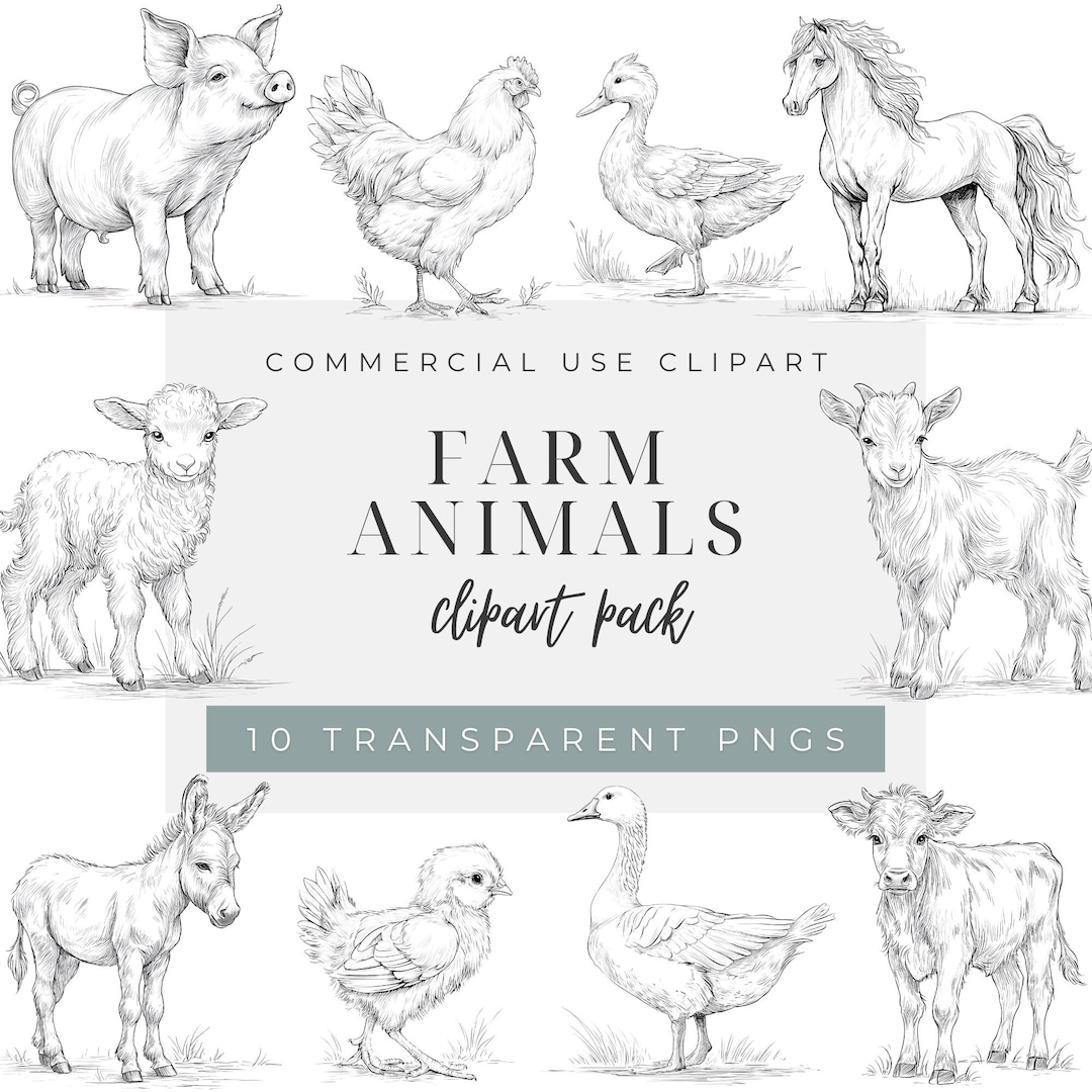 Farm Animals Clipart Pack, Line Art Pngs for Coloring Pages, Worksheets ...