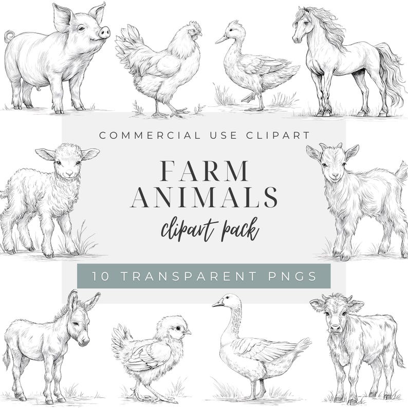 Farm Animals Clipart Pack, Line Art Pngs for Coloring Pages, Worksheets ...