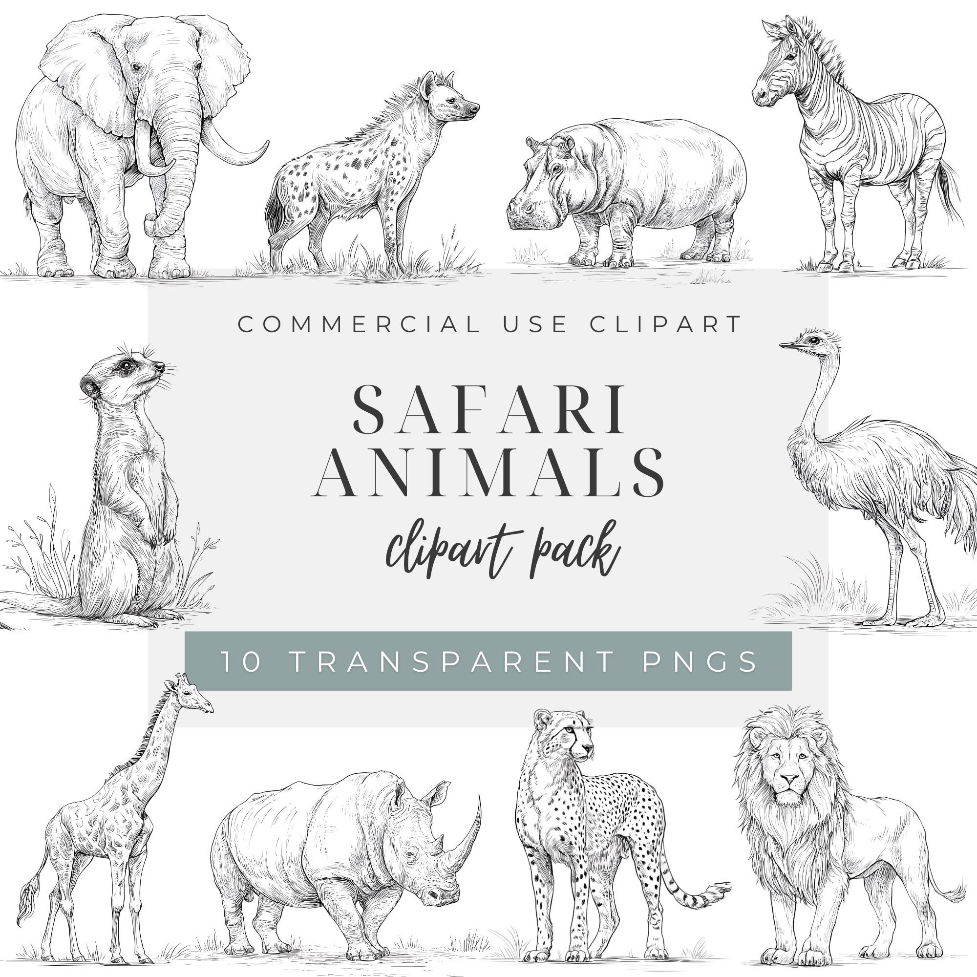 Safari Animals Line Art Clipart Set, African Wildlife Pngs, Lion ...