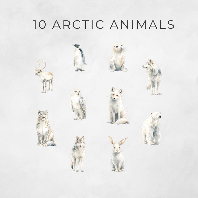 Arctic Animals Clipart Bundle, Watercolor Winter Wildlife Pngs, Polar ...