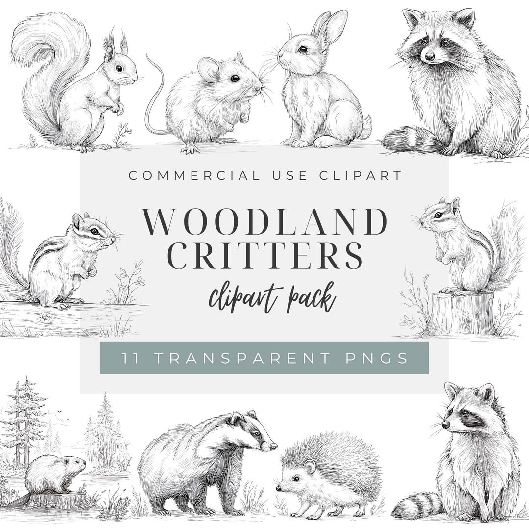 Woodland Critters Clipart, Forest Animal Line Art Pngs for Making ...