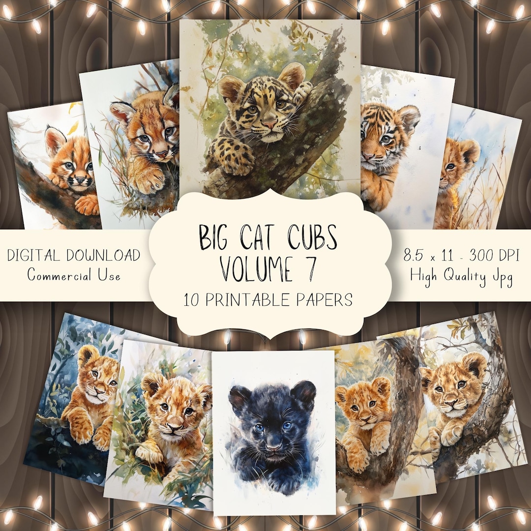 Big Cat Cubs Digital Paper Pack, Panther Cub Printables With Lion Tiger ...
