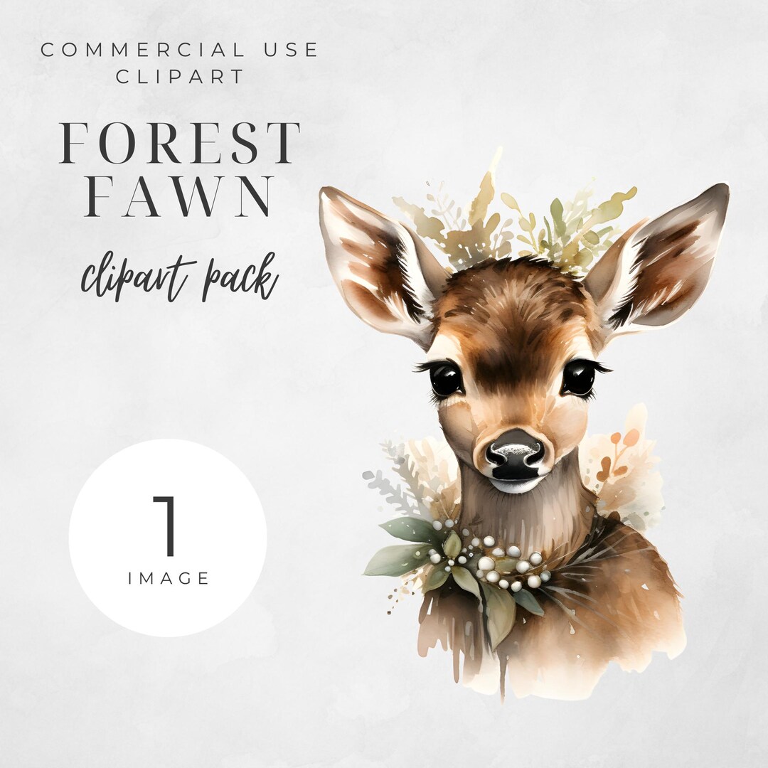 Forest Fawn Woodland Deer Clipart, Cute Baby Fawn PNG, Boho Forest ...