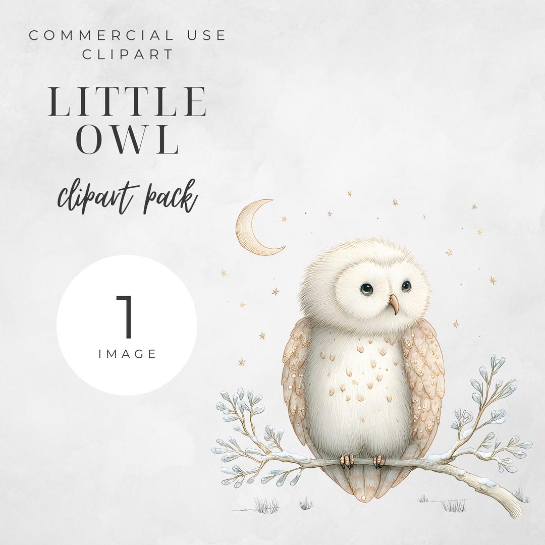 Little Owl Clipart, Cute Baby Owl PNG Sitting on Branch, Woodland ...