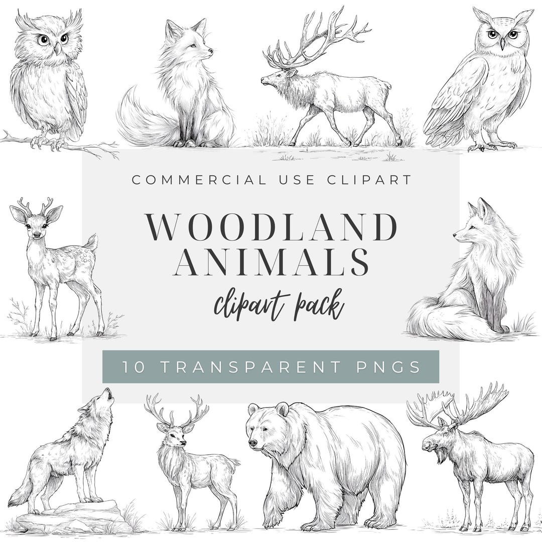 Woodland Animals Clipart, Forest Animal Line Art Pngs for Making ...