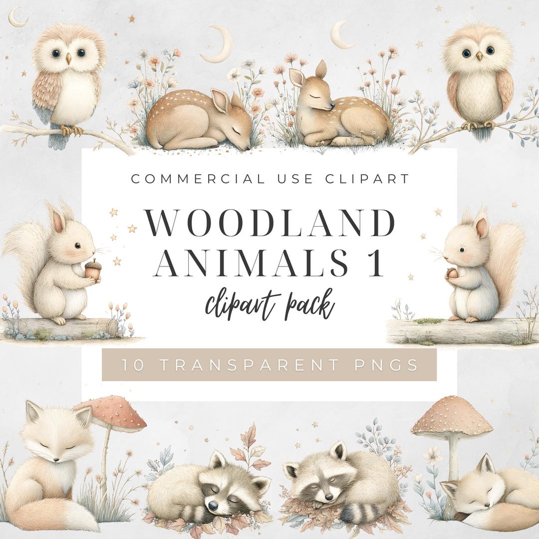 Woodland Animals Clipart Pack, Cute Forest Animal Pngs, Baby Deer Fox ...