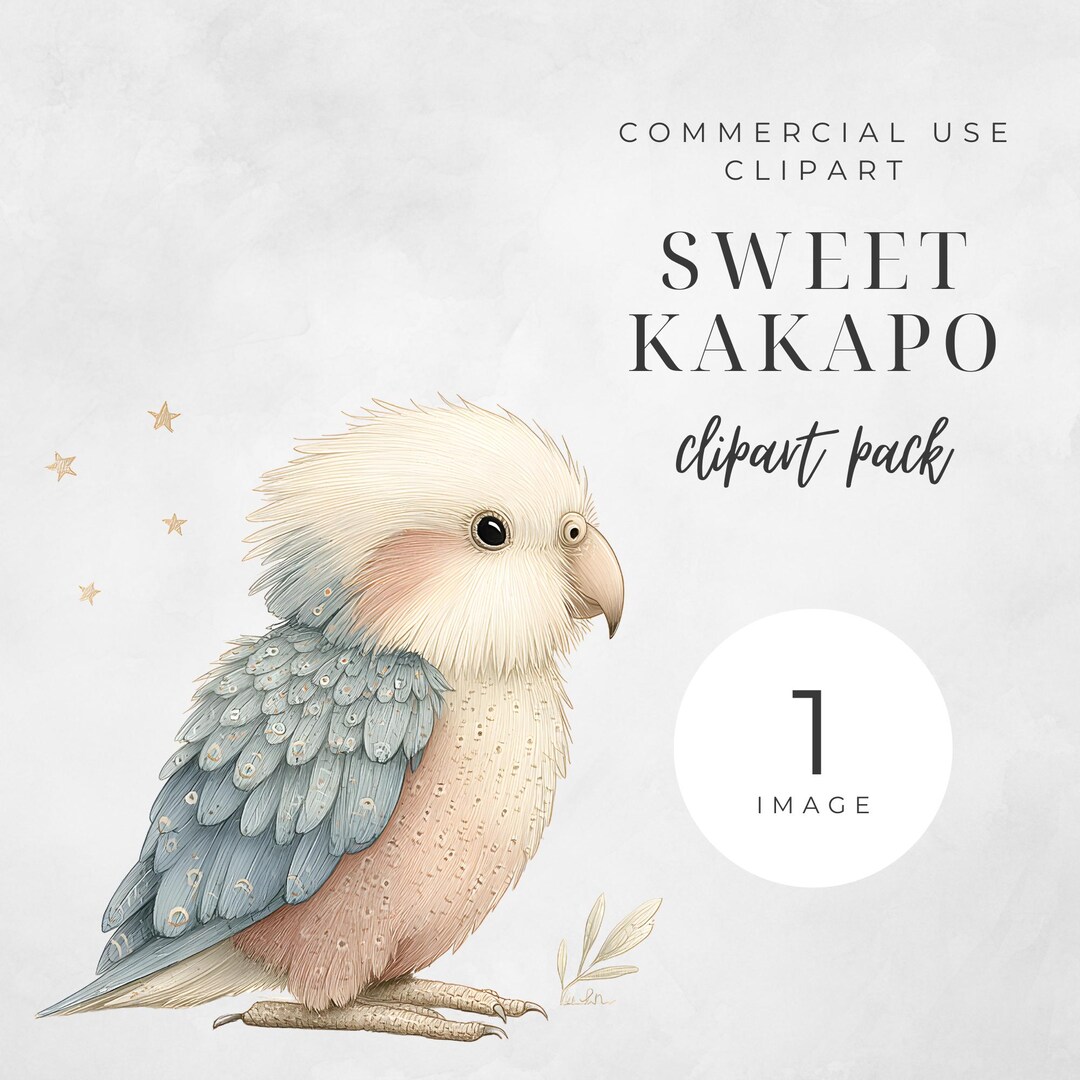 Sweet Kakapo Clipart Pack, Colorful Bird PNG Illustration, Exotic ...
