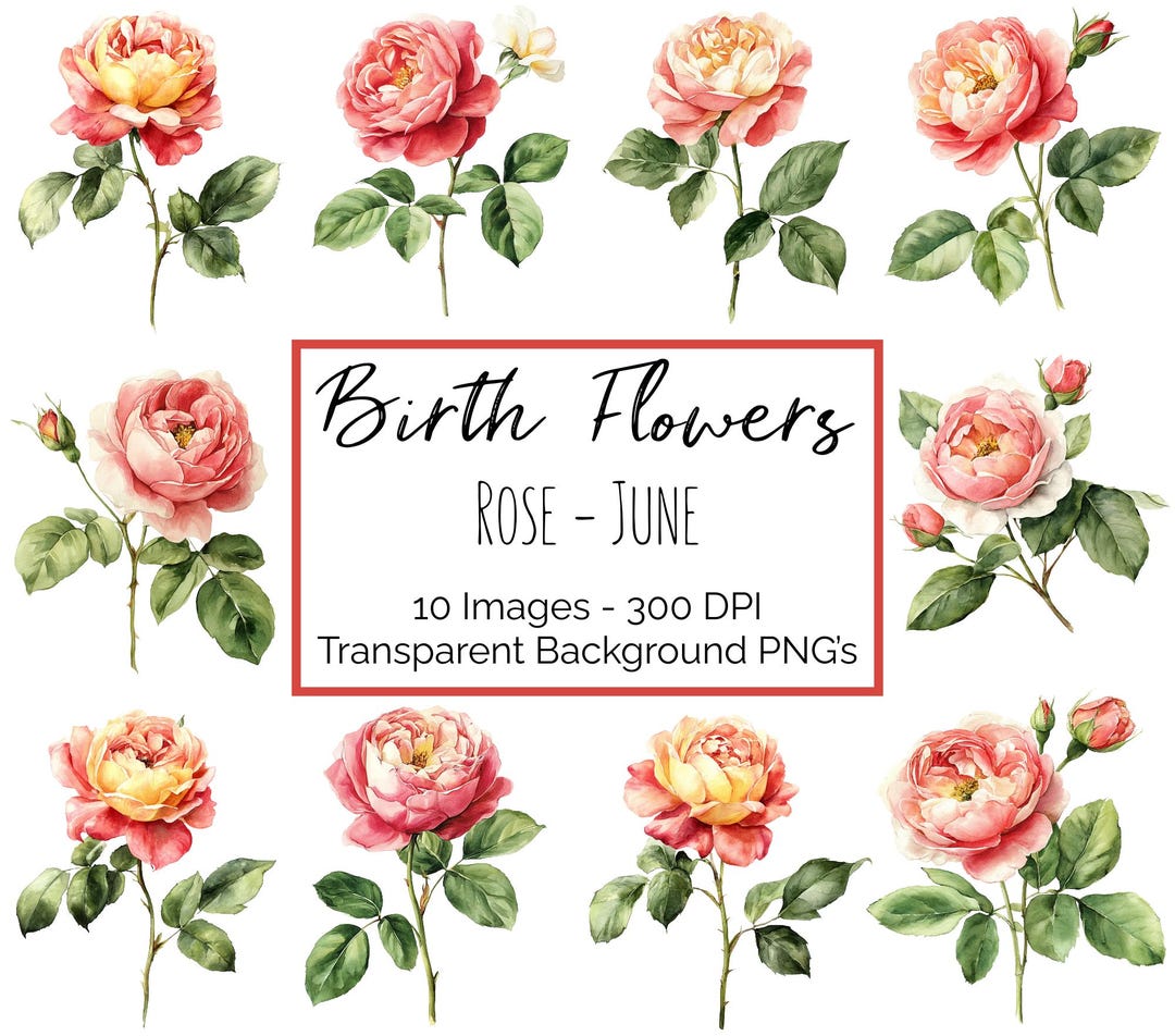 Rose Clipart PNG | June Birth Month Flower | 10 Rose Floral Pngs ...