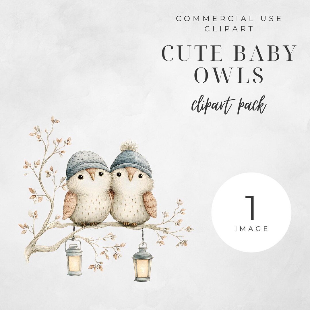 Cute Baby Owls Clipart, Cozy Winter Owl PNG Illustration, Woodland ...