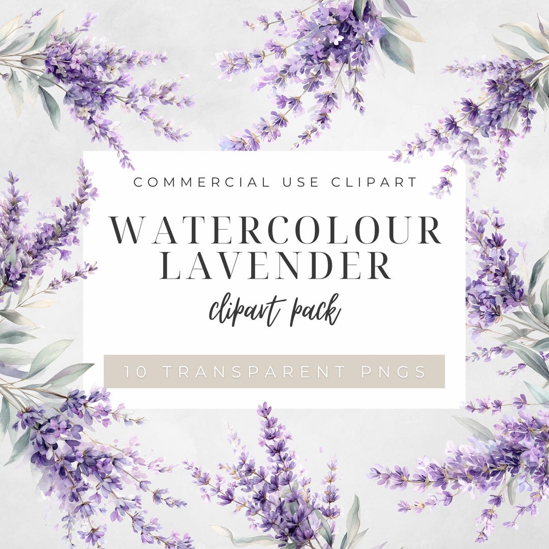 Lavender Clipart Bundle, Watercolor Floral Pngs, Purple Herb ...