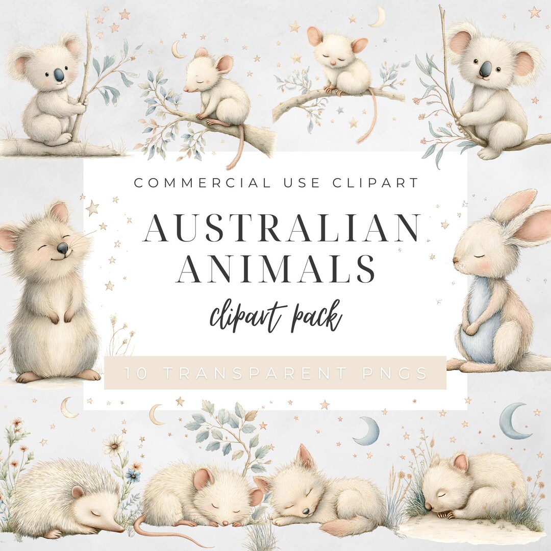 Australian Animals Clipart Pack, Cute Koala Kangaroo Quokka Pngs, Baby ...