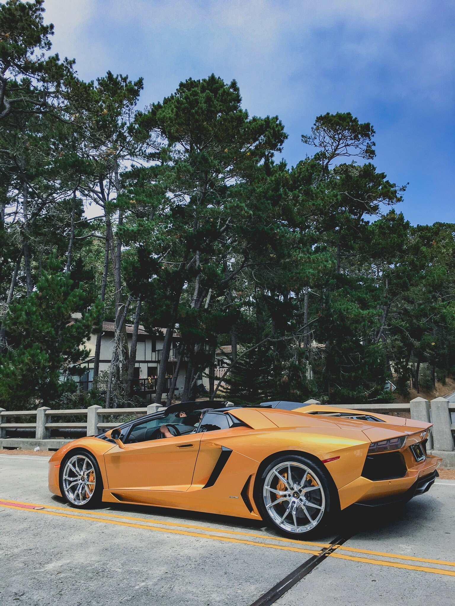 Lamborghini Aventador Roadster Photo Wall Art, Poster, Automotive Art ...