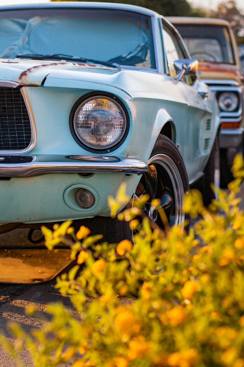 1967 Ford Mustang Wall Art Photo Automotive Muscle Car, Blue, Coupe ...