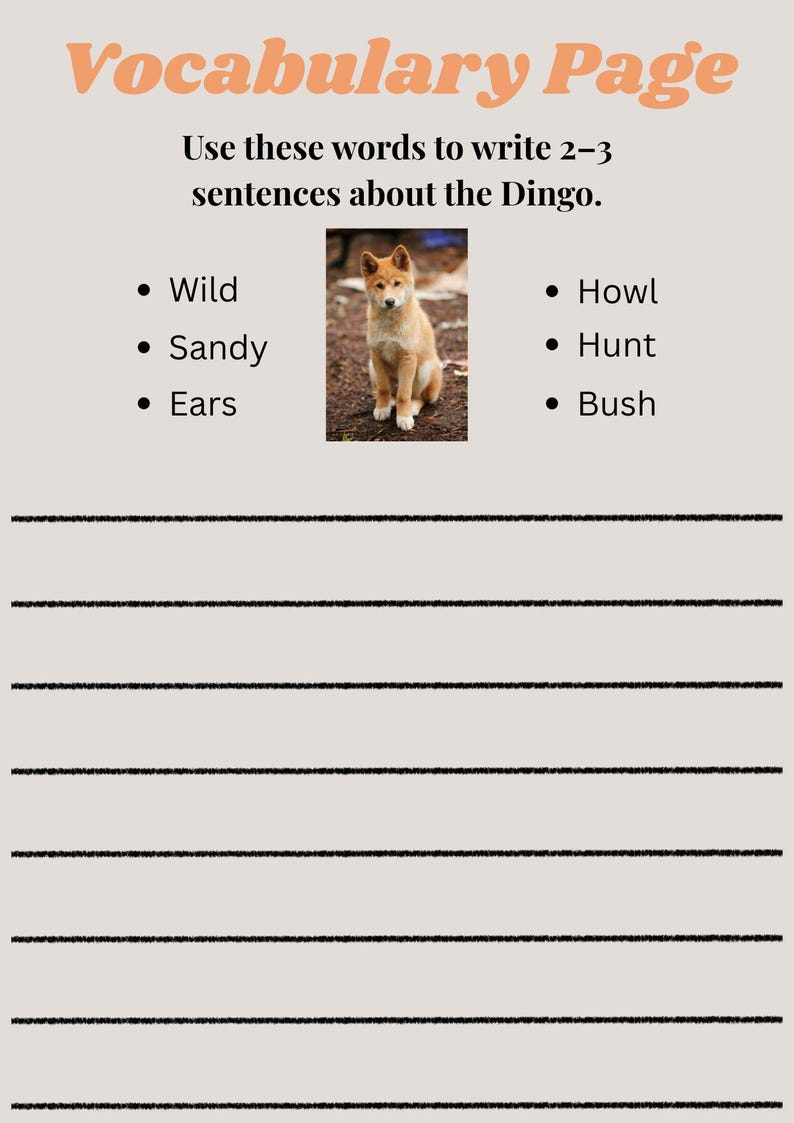 Dingo Activity Work Book- Australian Animal Study-printable PDF - Etsy