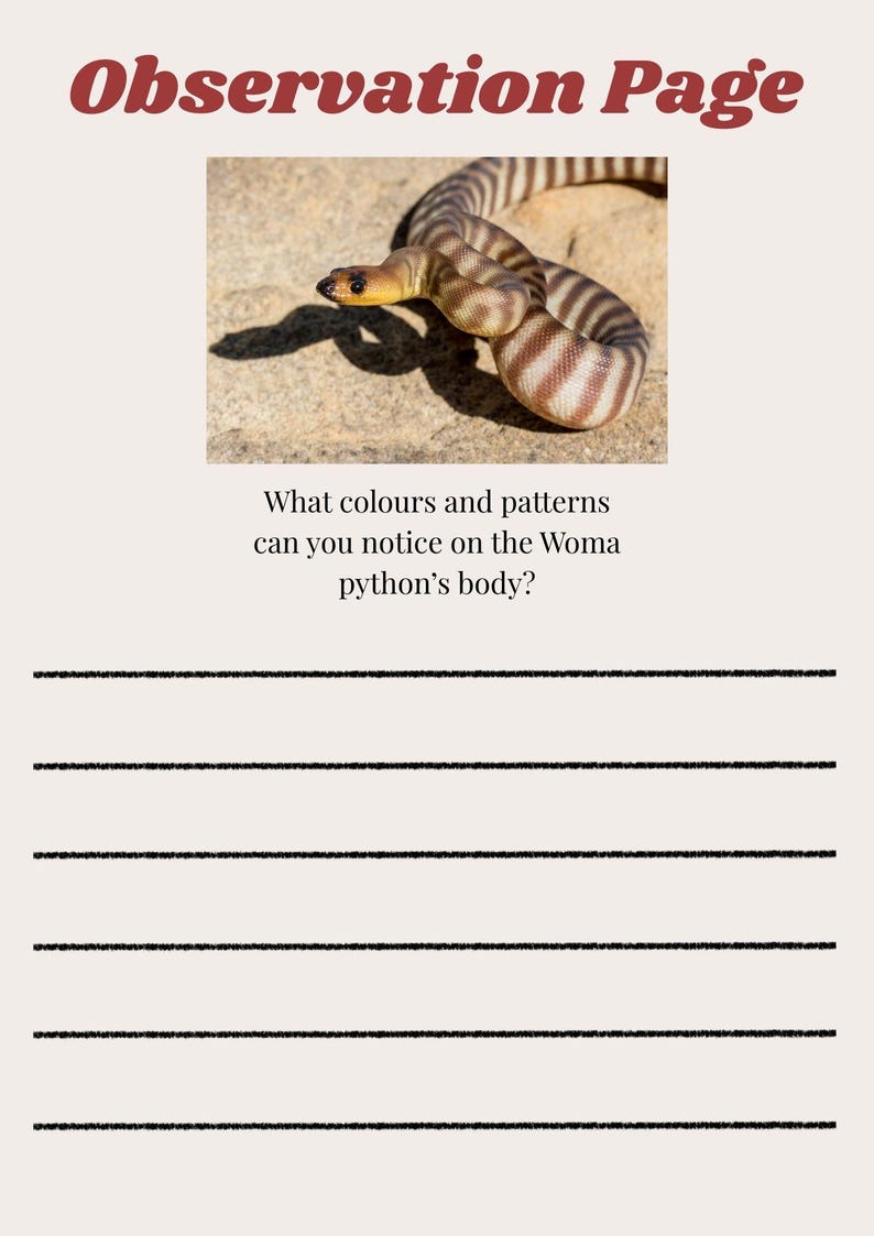 Woma Python Study Unit-observation-facts-vocabulary- Habitat-activities & Colouring Page - Etsy