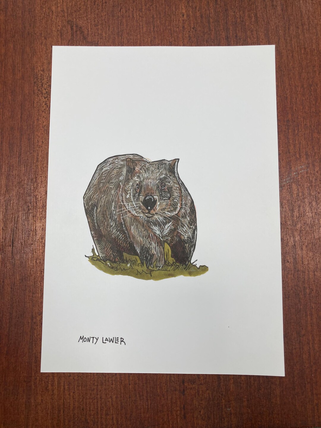 Wombat - Colour Illustration - Etsy