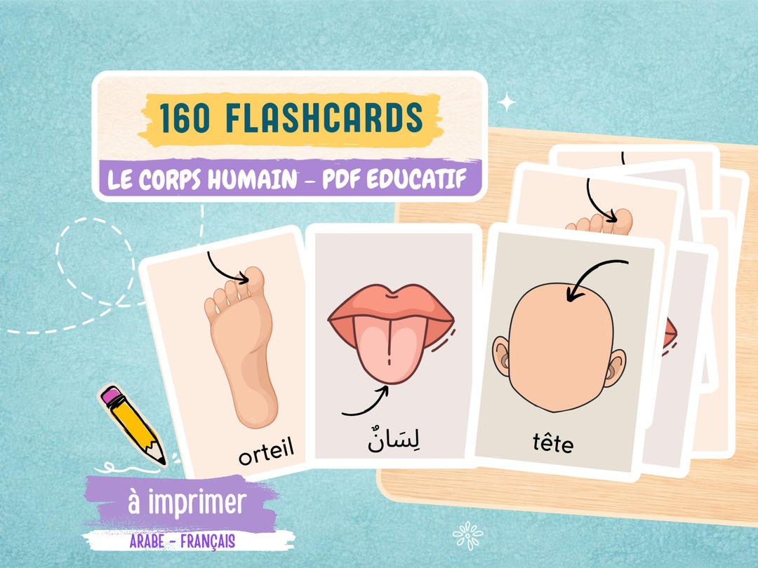 Human Body Flashcards French Arabic – 160 Educational Cards | Printable ...