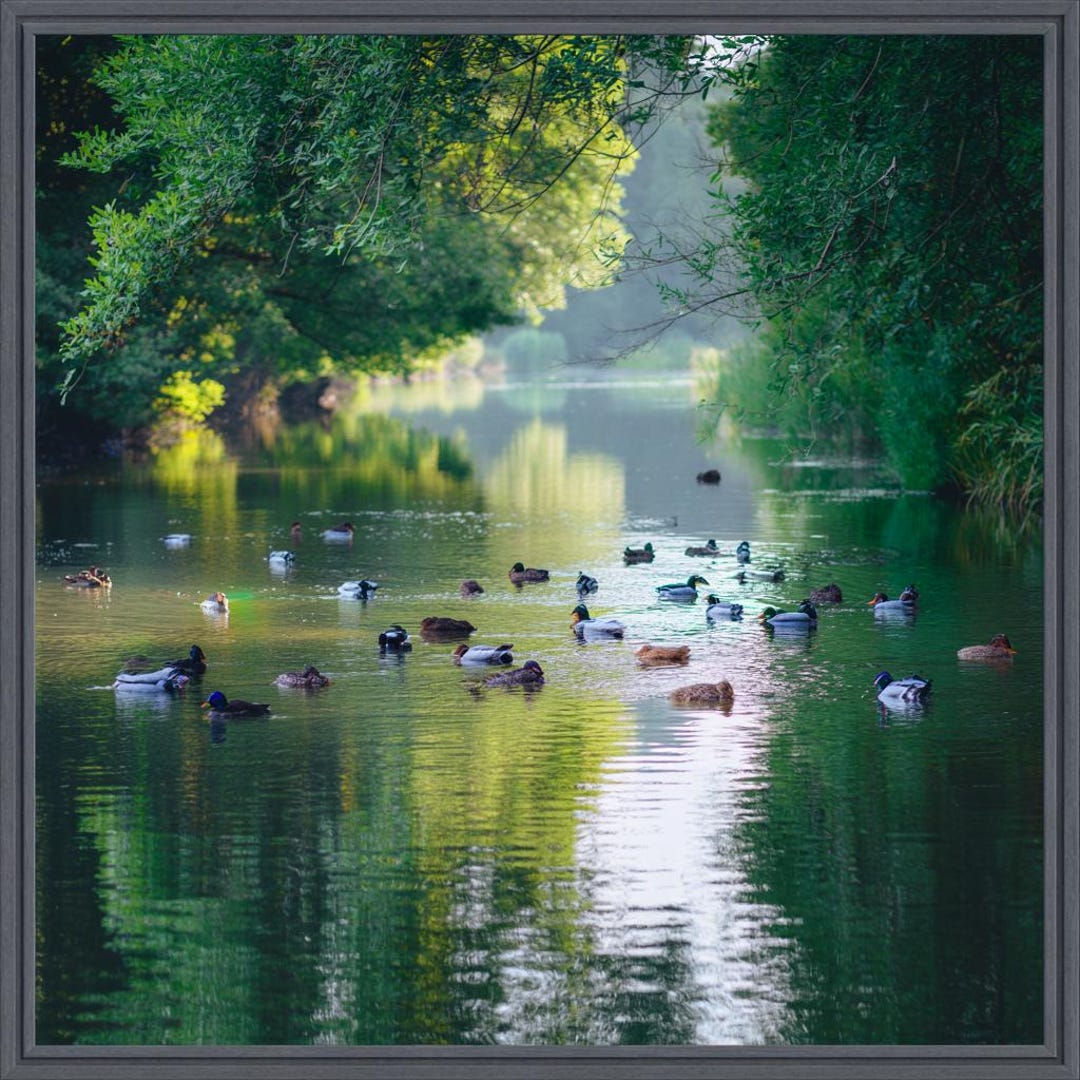 Wales Printable Country Landscape Ducks Photo - Etsy