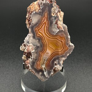 Laguna Agate From Ojo Laguna Chihuahua, Mexico, Floating in a Sea of ...