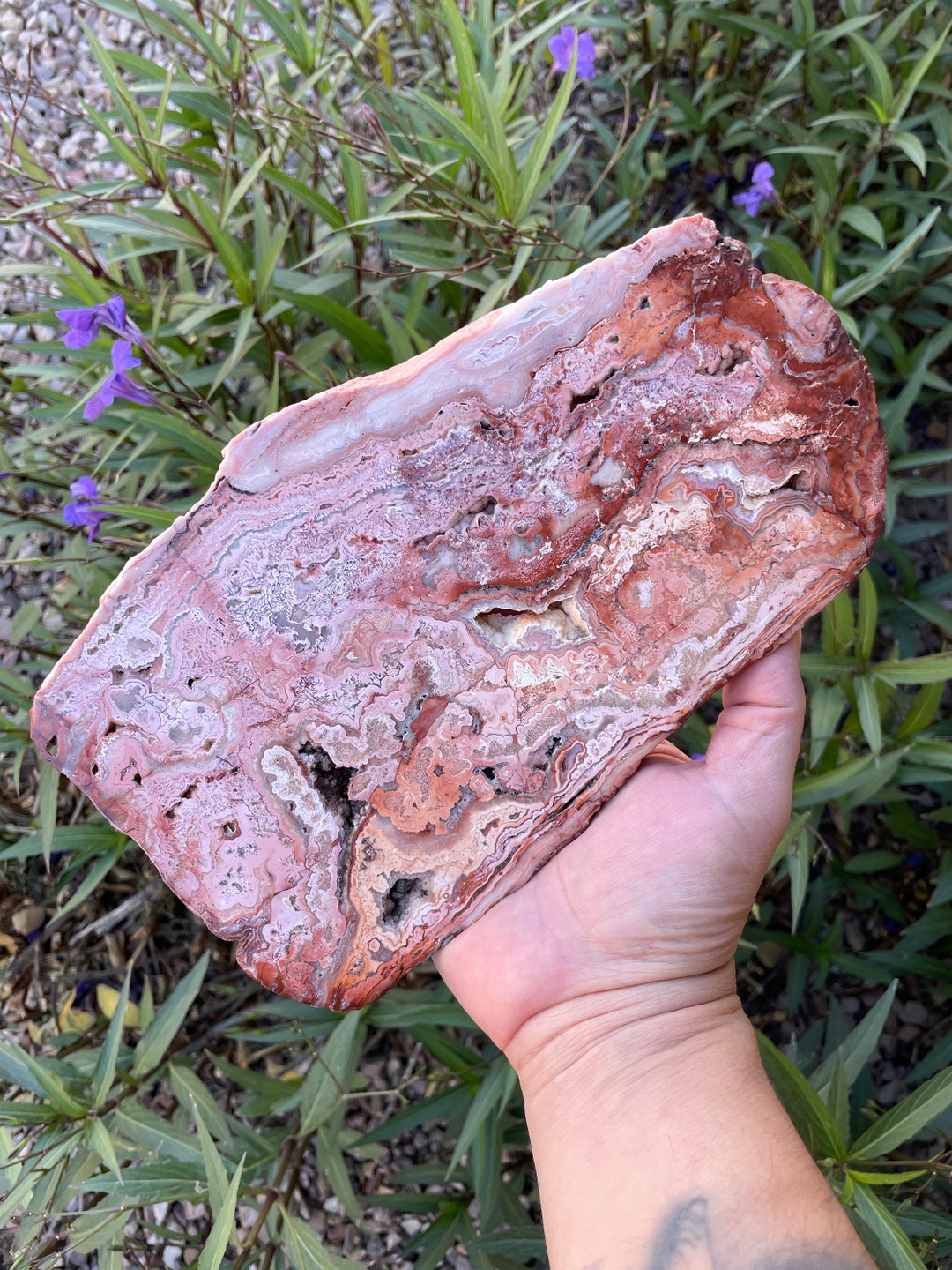 Java Lace Agate/crazy Lace Agate Slab From Indonesia - Etsy