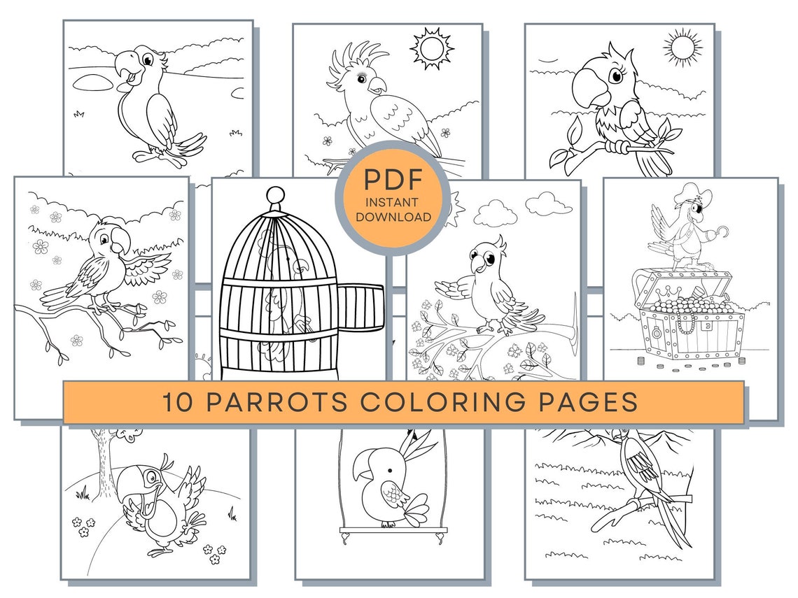Parrot Coloring Pages Parrot PDF Parrot Printables Parrot - Etsy