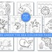 Under the Sea Coloring Pages, Sea Life Coloring, Ocean Coloring Pages ...