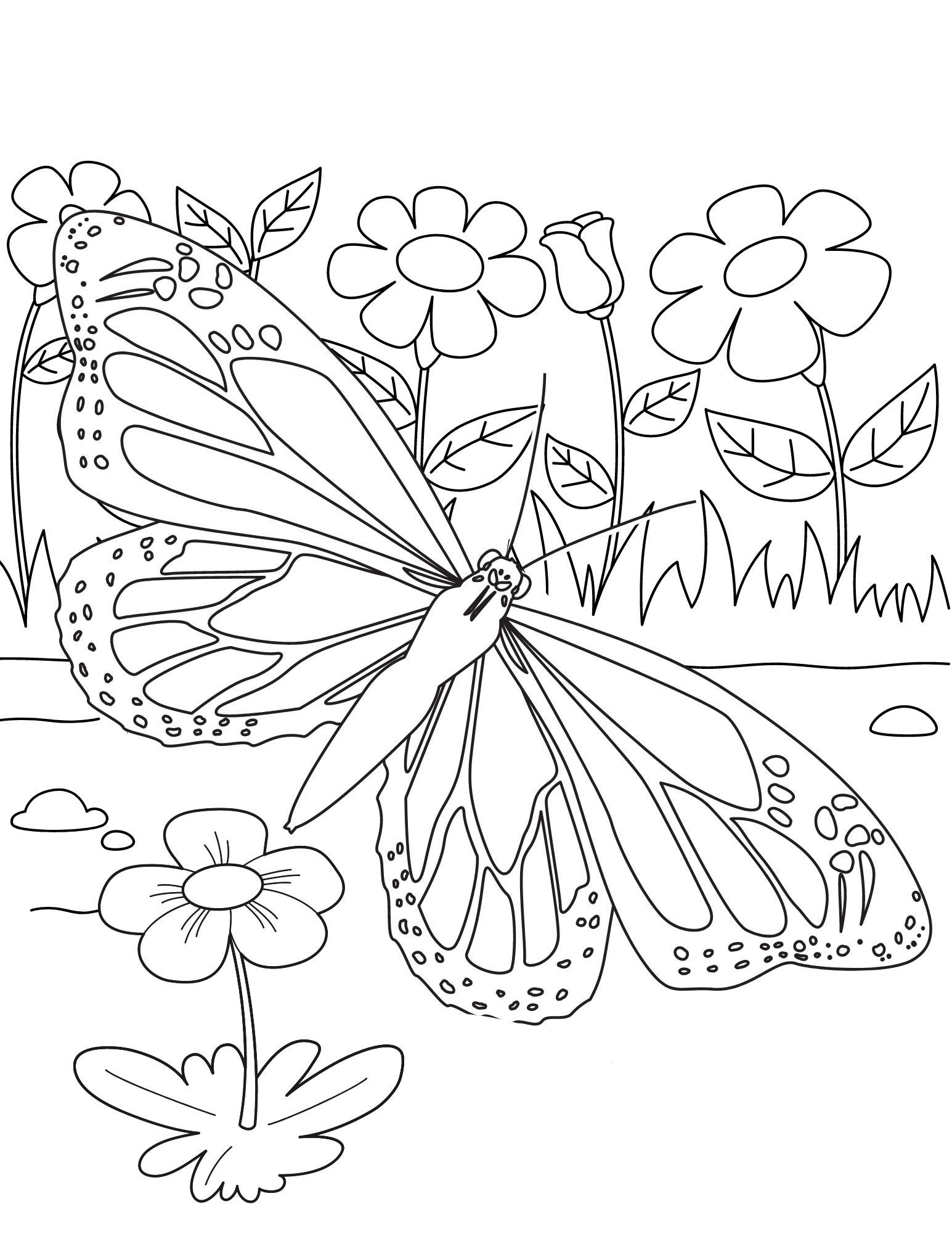 Butterfly Coloring Pages, Butterfly PDF, Butterfly Printables ...