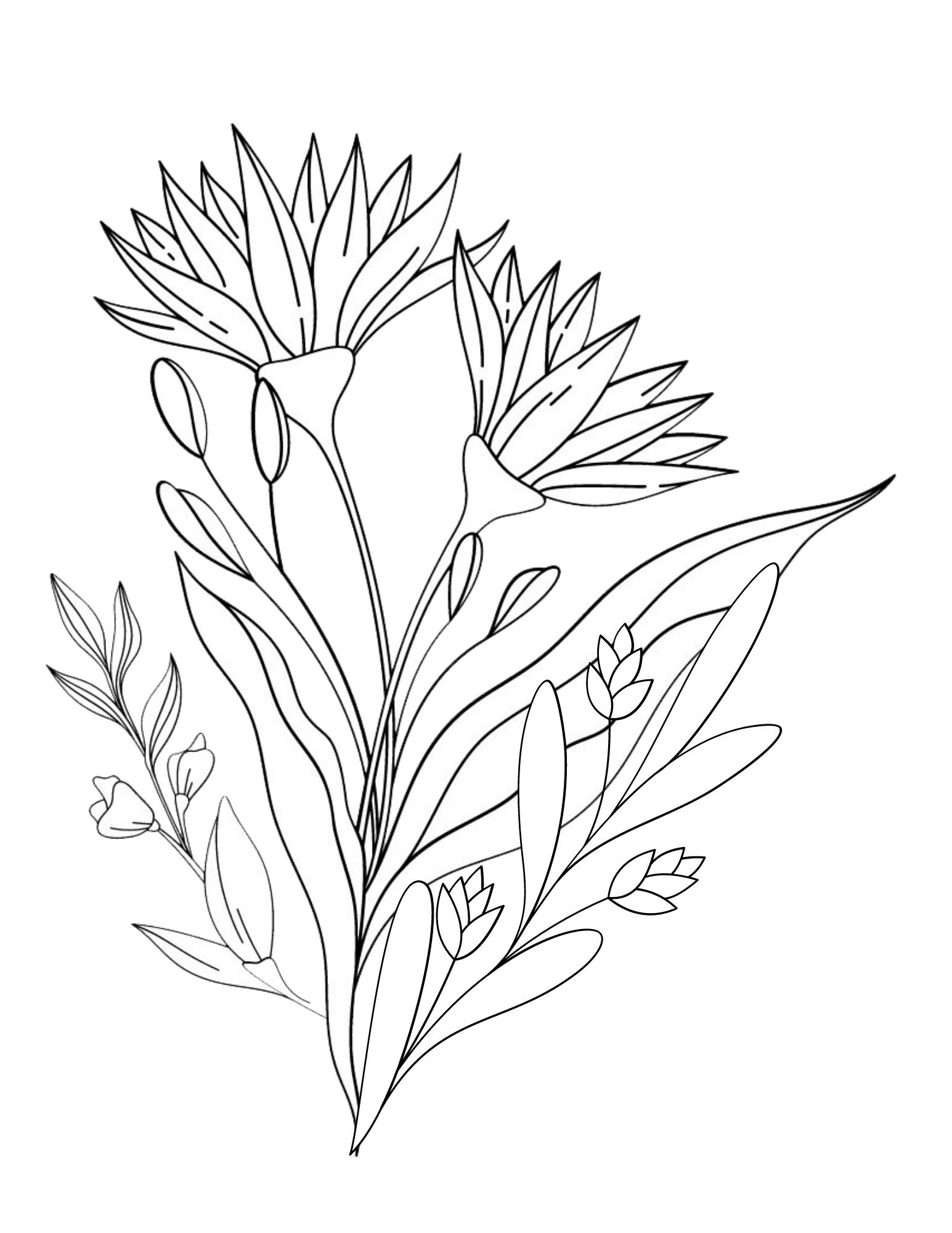 Flowers Coloring Pages, Flowers PDF Coloring Flowers Printables ...