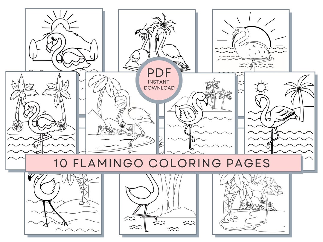 Flamingo Coloring Pages, Flamingo PDF, Flamingo Printables, Flamingo ...