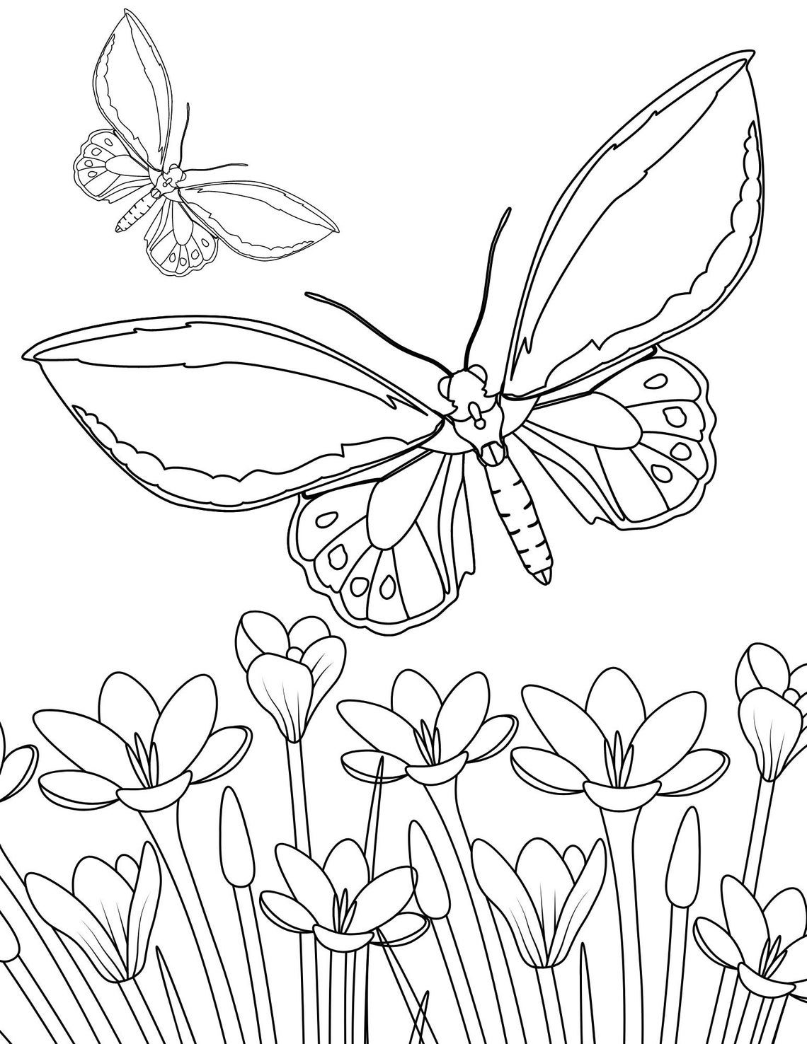 Butterfly Coloring Pages, Butterfly PDF, Butterfly Printables ...