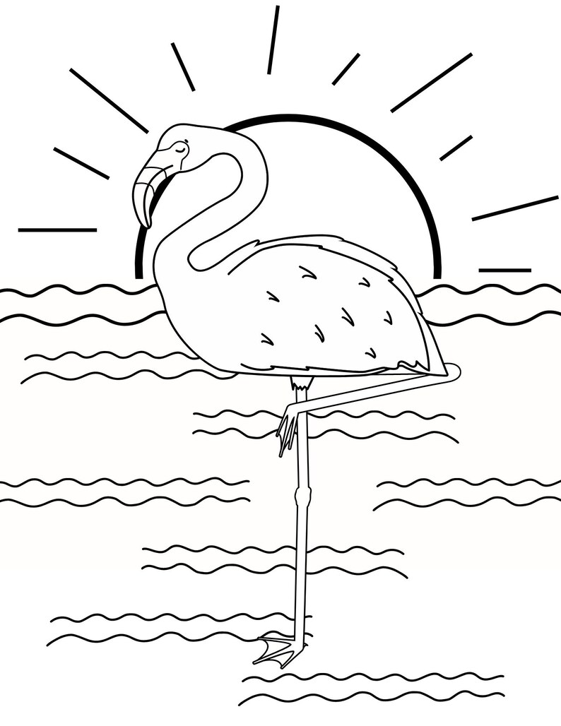Flamingo Coloring Pages, Flamingo PDF, Flamingo Printables, Flamingo ...