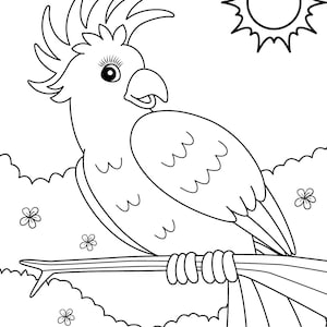 Parrot Coloring Pages, Parrot PDF, Parrot Printables, Parrot Coloring ...