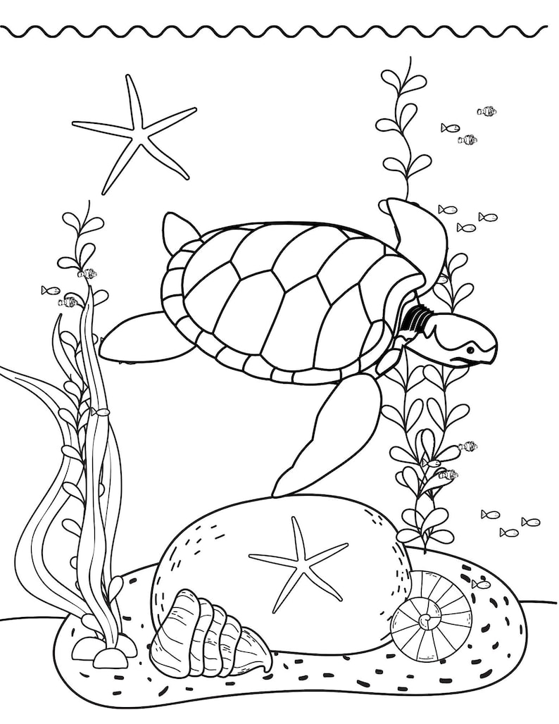 Under the Sea Coloring Pages Sea Life Coloring Ocean - Etsy