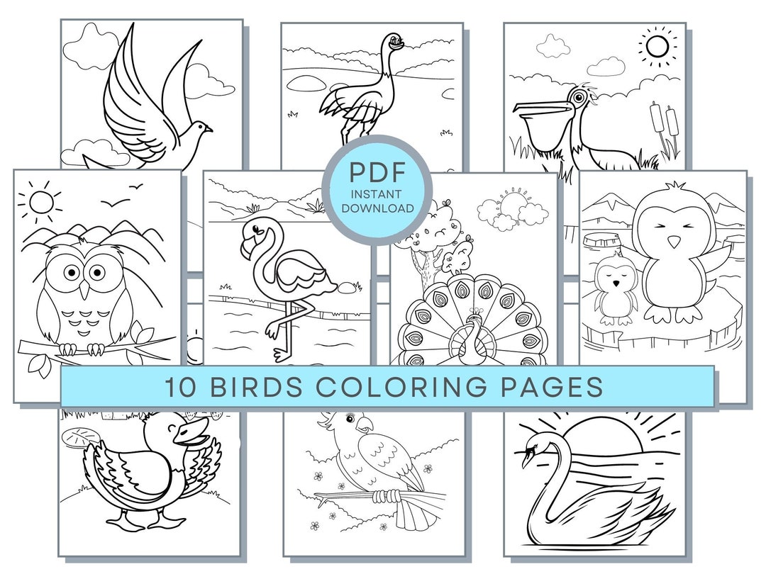 Birds Coloring Pages, Birds PDF, Birds Printables, Birds Coloring ...