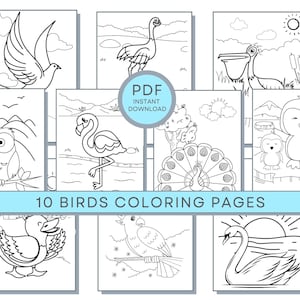 Birds Coloring Pages, Birds PDF, Birds Printables, Birds Coloring ...
