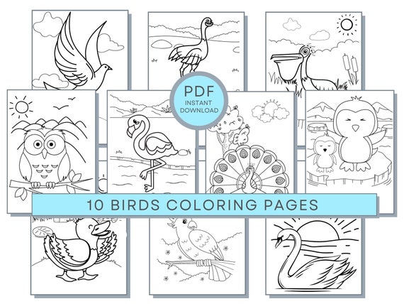 Birds Coloring Pages Birds PDF Birds Printables Birds - Etsy