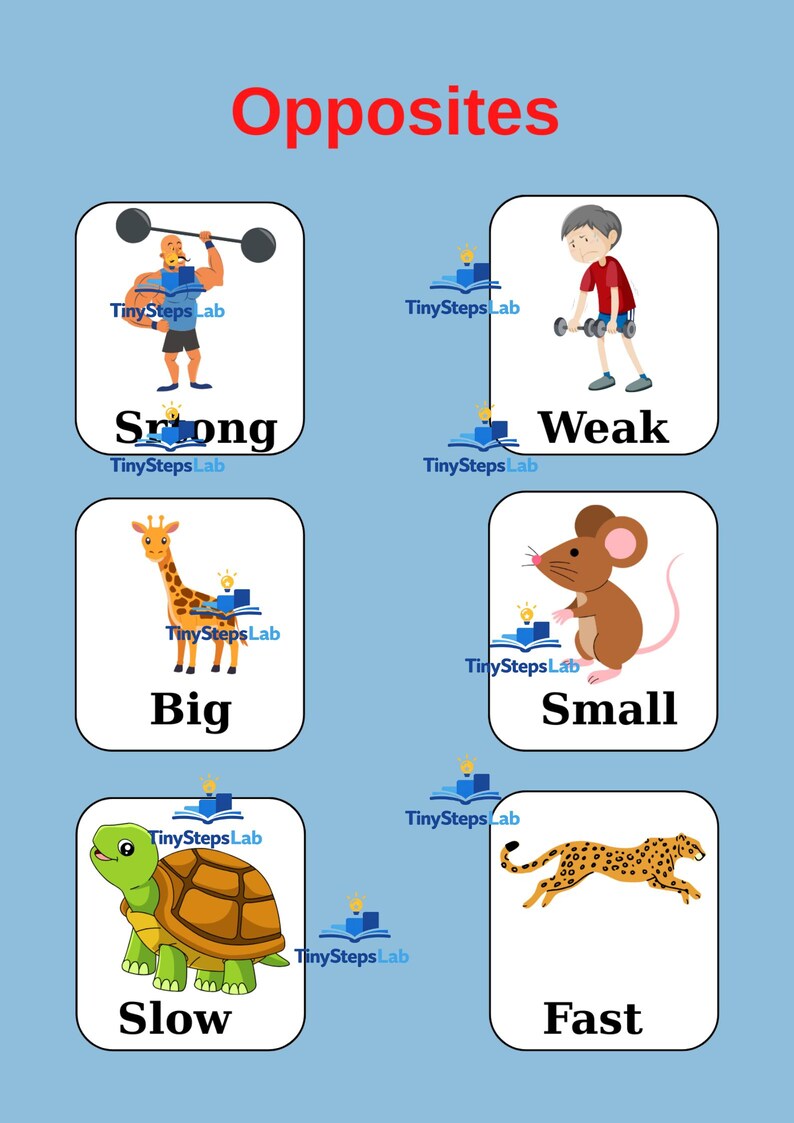 Opposites Worksheets for Kids | Preschool Printable | Matching & True ...