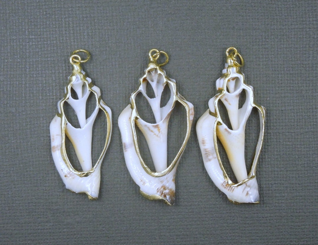 Lovely Brown Seashell With 24k Gold Electroplated Edge Bail Pendant ...