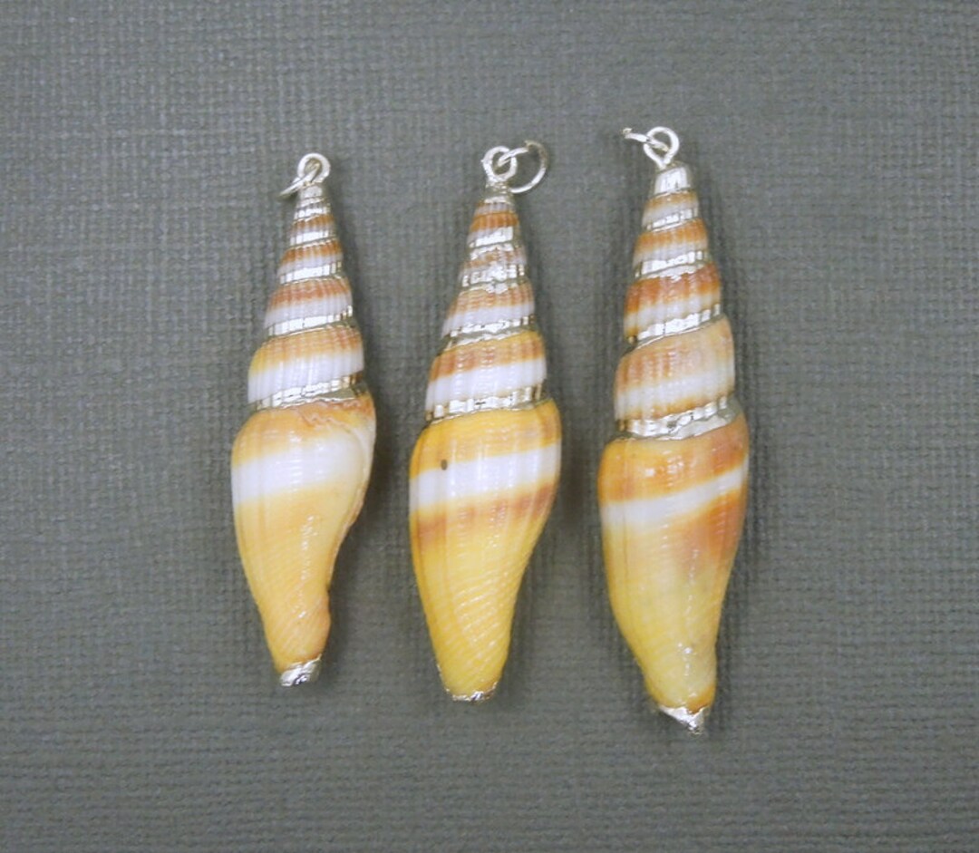 Fancy Light Brown Seashell With Silver Electroplated Edge Bail Pendant ...